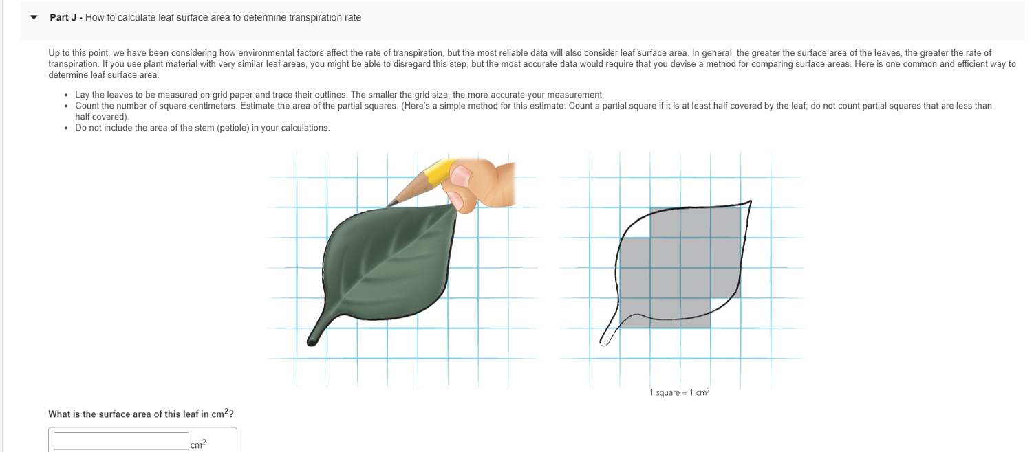 Solved Part J - ﻿How to calculate leaf surface area to | Chegg.com
