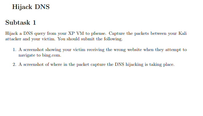 Solved Subtask 1 Hijack a DNS query from your XP VM to | Chegg.com
