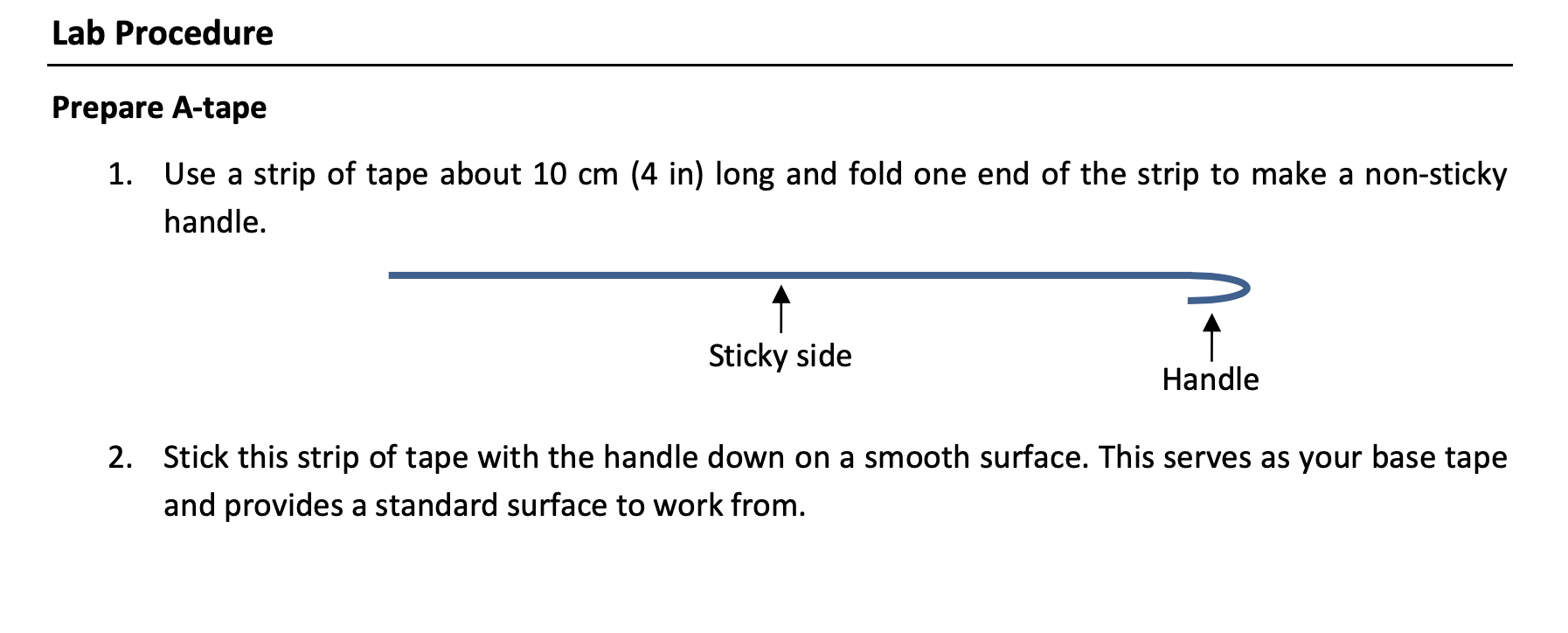 Lab Procedure Prepare A-tape 1. Use a strip of tape | Chegg.com