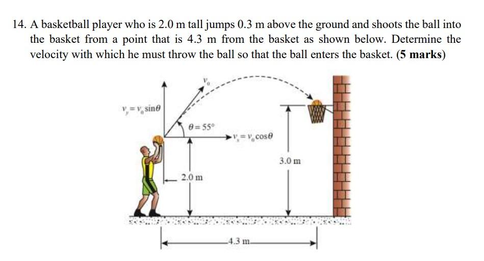 Solved A basketball player who is 2.0 m tall jumps 0.3 m | Chegg.com