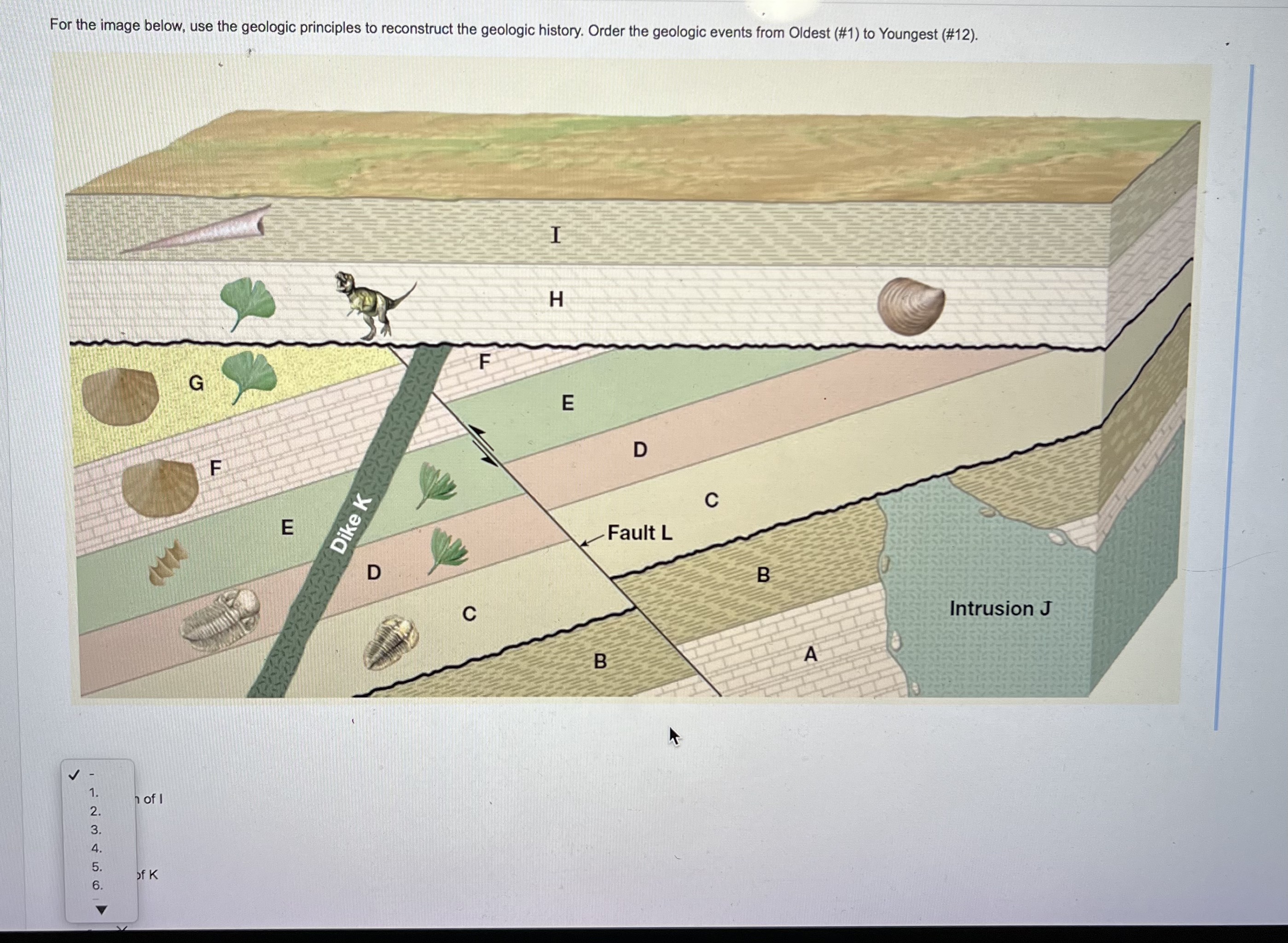Solved For the image below, use the geologic principles to | Chegg.com