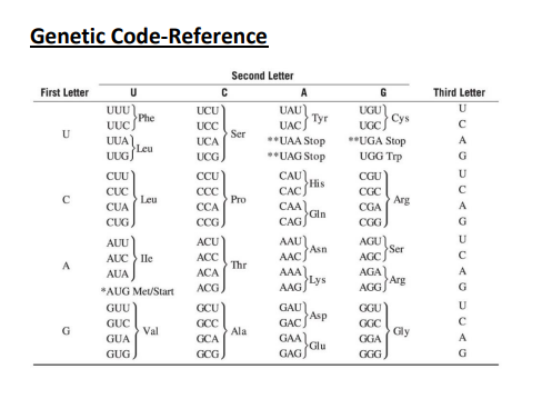 Solved Genetic Code-Reference2. Using the provided "Genetic | Chegg.com