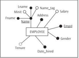 Solved Consider the EMPLOYEE entity type shown here. List | Chegg.com