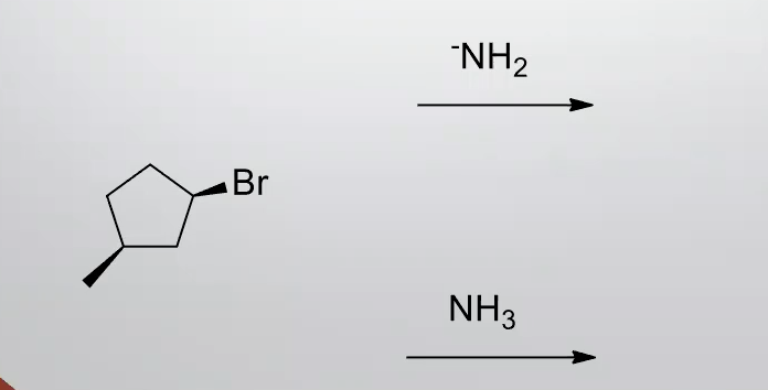 Solved "NH2 Br NH3 | Chegg.com