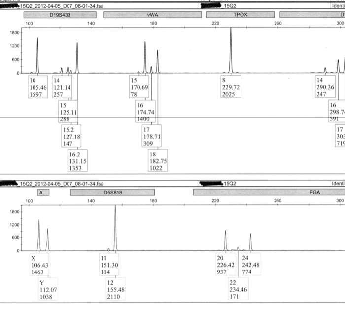 Solved In the following electropherogram for each STR loci | Chegg.com