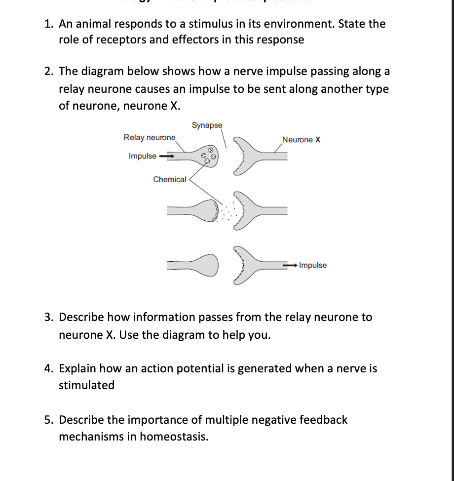 Solved 1. An animal responds to a stimulus in its | Chegg.com