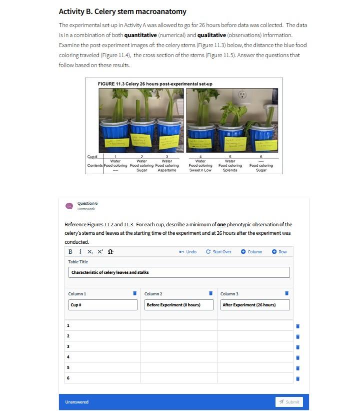 Solved Activity B. Celery stem macroanatomy The experimental | Chegg.com