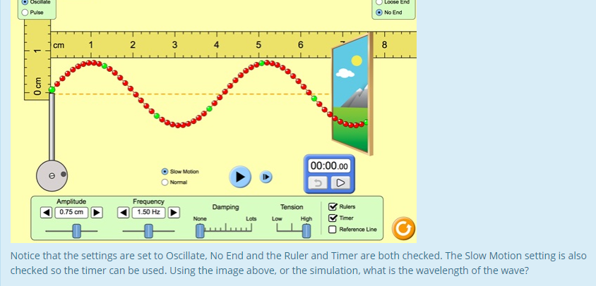 Solved Pulse No End cm 2 4 00:00.00 Slow Motion Rulers Lots | Chegg.com