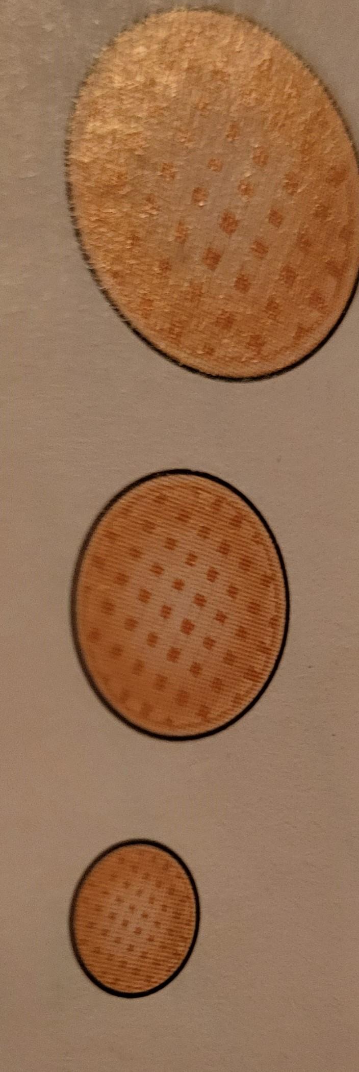 Solved Figure 2.27 shows a picture of three pies. Draw a | Chegg.com