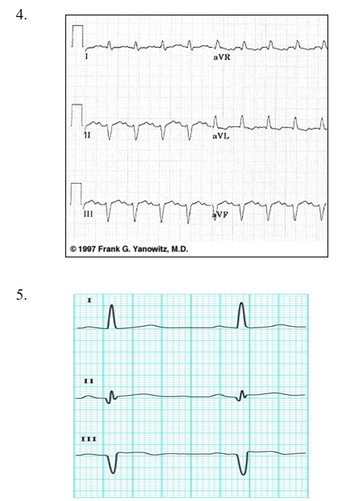 4. (6) 1997 Frank G. Yanowitz, M.D. 5. | Chegg.com