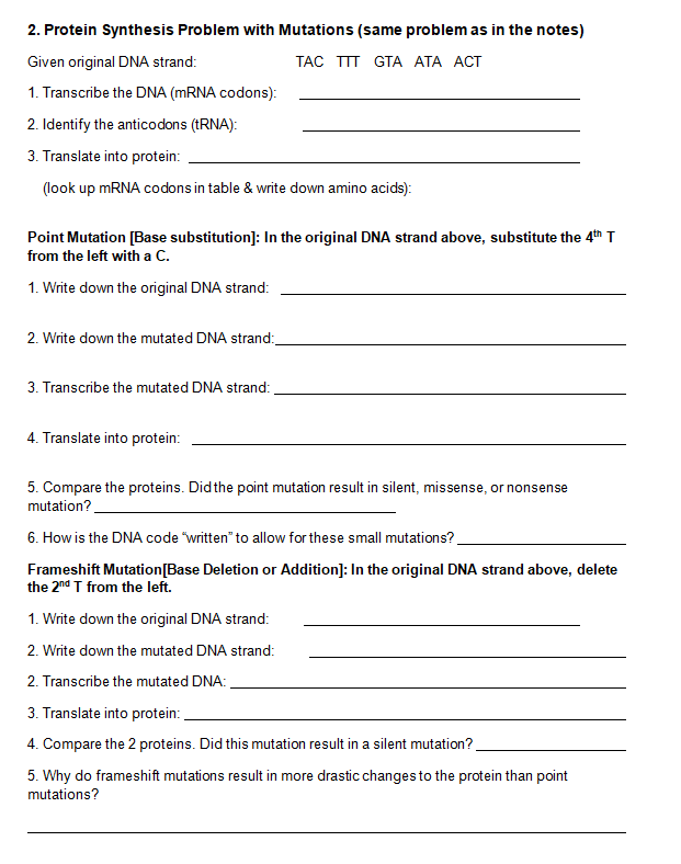 Solved 3. Protein Synthesis Problem with Mutations Given the | Chegg.com