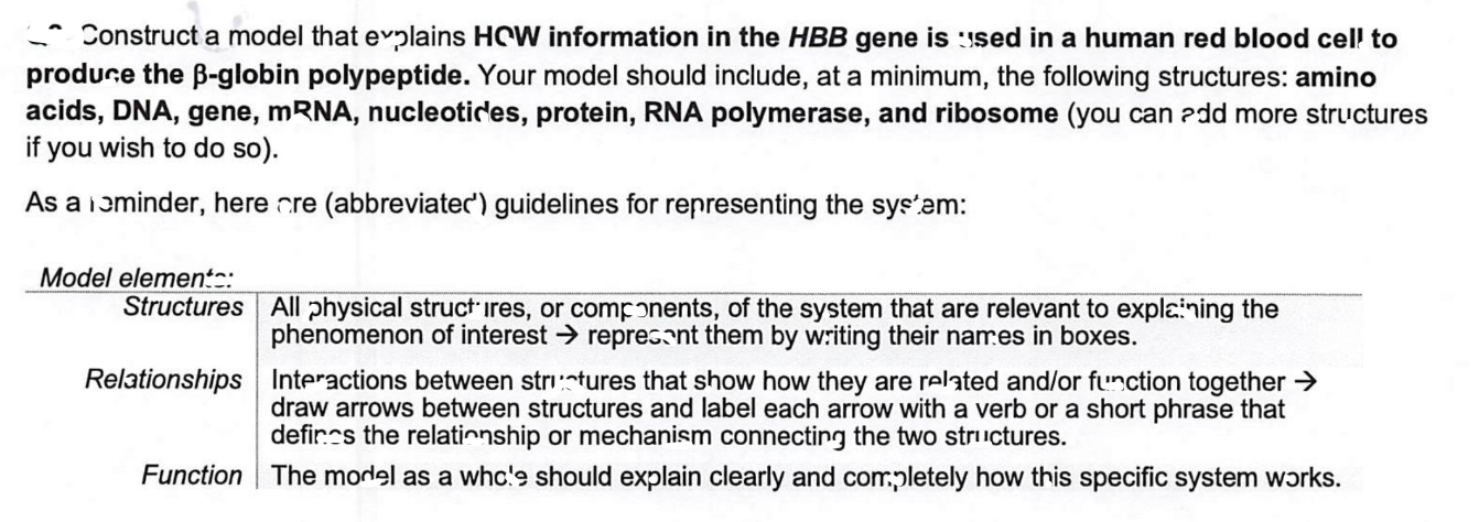 Solved the model should inculde, structure, relationship, | Chegg.com