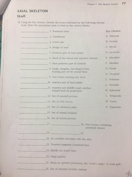Solved Using the key choices, identify the bones indicated | Chegg.com