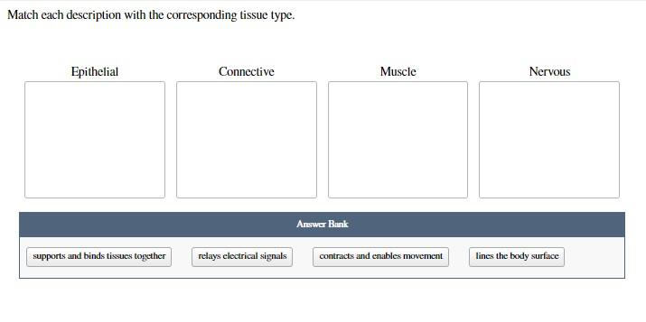 Solved Match each description with the corresponding tissue | Chegg.com
