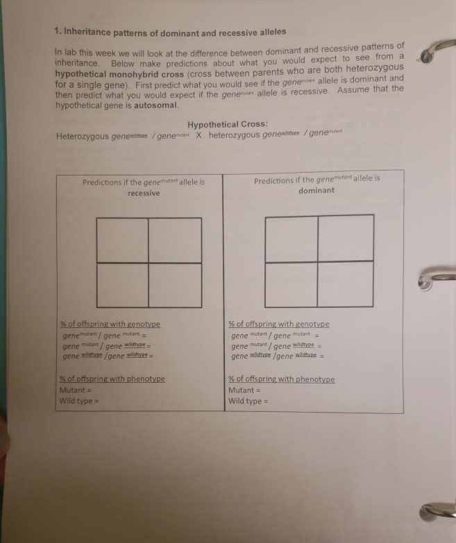 Solved 1. Inheritance patterns of dominant and recessive | Chegg.com