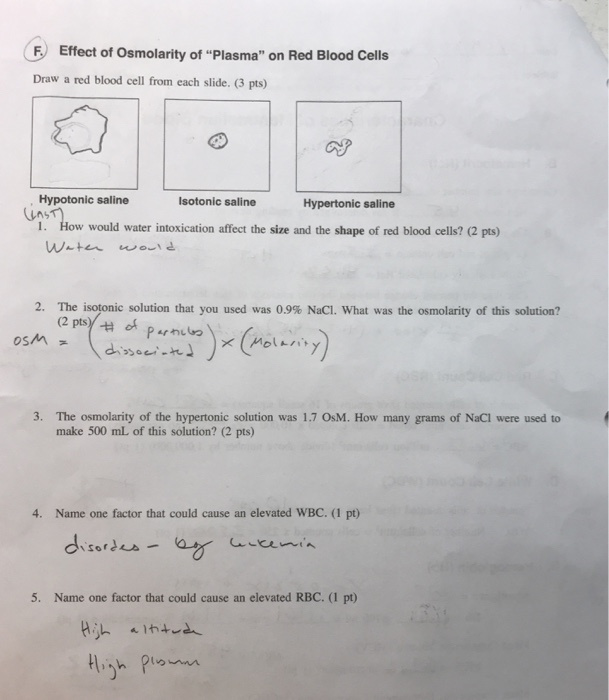 Solved F Effect of Osmolarity of "Plasma" on Red Blood Cells | Chegg.com