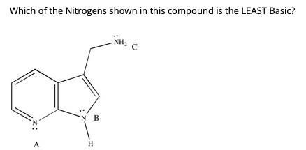 Solved Which of the Nitrogens shown in this compound is the | Chegg.com