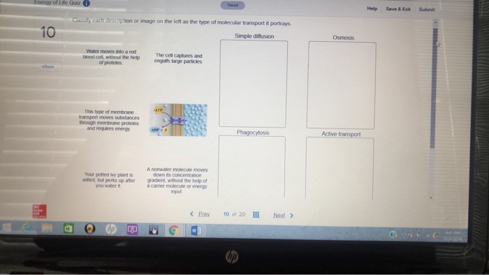 Solved Energy of Life Quiz Seved Help Save & Exit Submit | Chegg.com