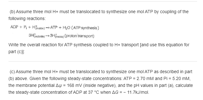 Solved ATP is synthesized from ADP, Pi; and a proton on the | Chegg.com
