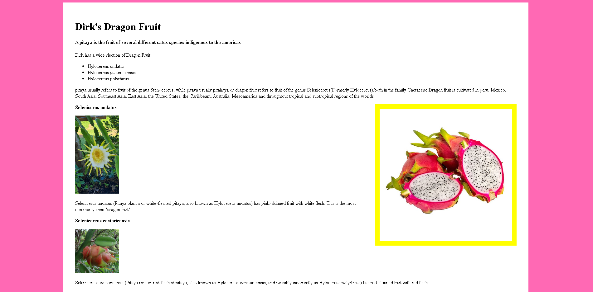 Solved Hello, Today I learn about div tags, the box model, | Chegg.com Solved Hello, Today I learn about div tags, the box model, | Chegg.com