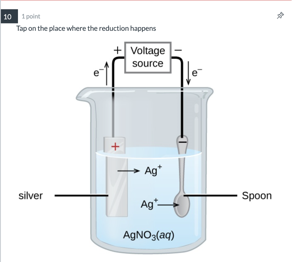 Solved 10 1 point Tap on the place where the reduction | Chegg.com