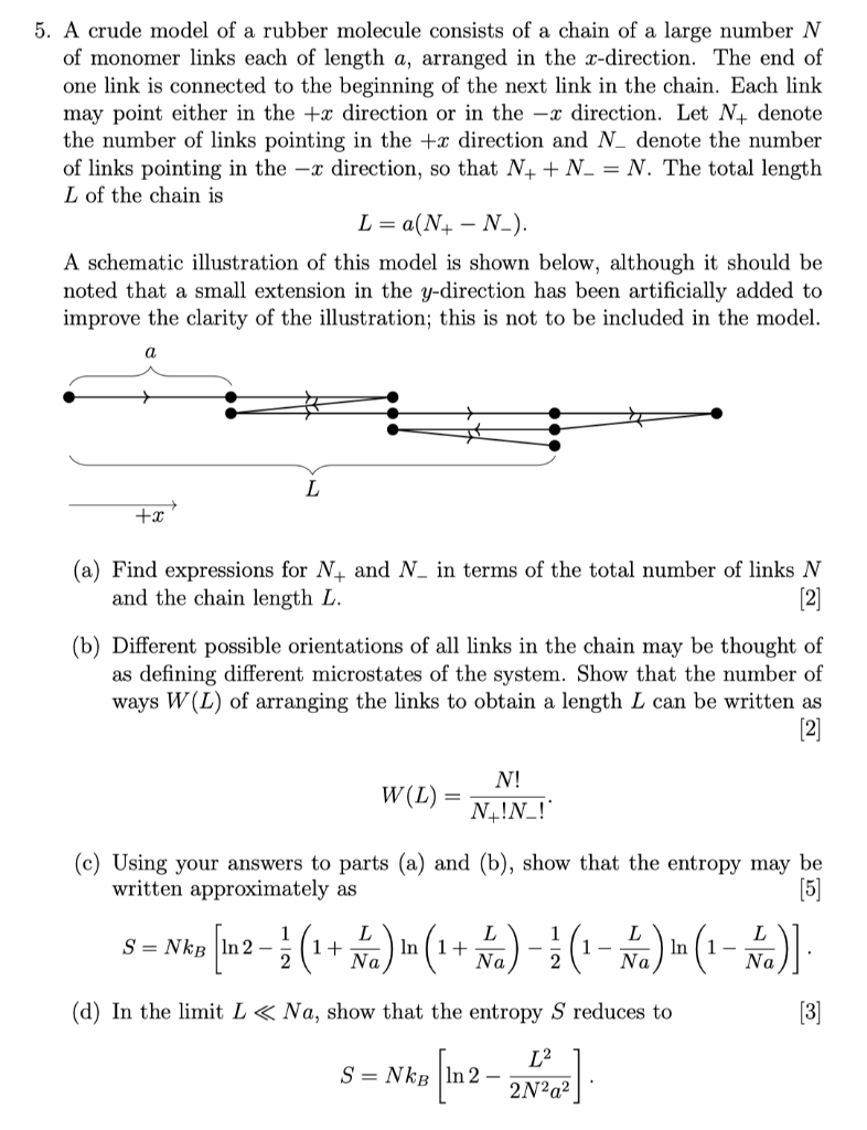 Solved 5. A crude model of a rubber molecule consists of a | Chegg.com