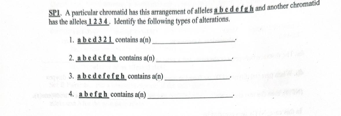 Solved SP1. A particular chromatid has this arrangement of | Chegg.com