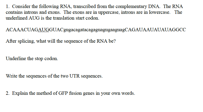 Solved 1. Consider the following RNA, transcribed from the | Chegg.com