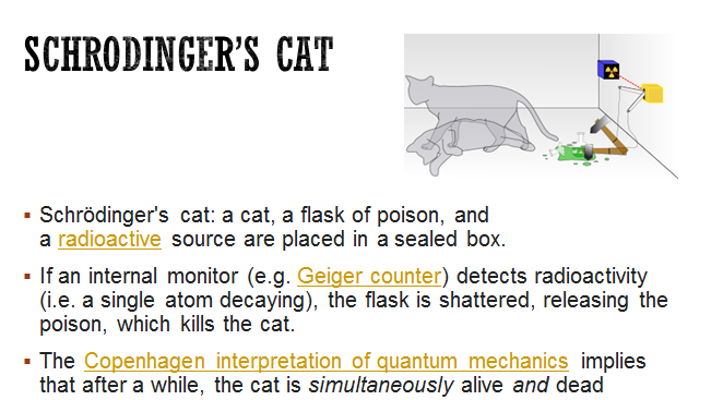 Schrodingers Cat Experiment
