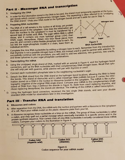 Solved Questions Draw a diagram of your DRA molecule. Keep | Chegg.com
