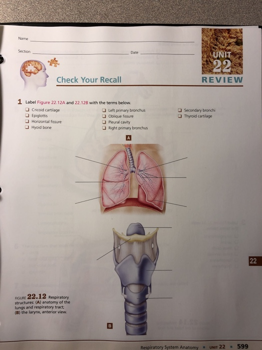 Solved Name Section UNIT Dane Check Your Recall REVIEW 1 | Chegg.com