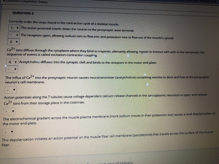 Solved Question Completion Status: QUESTION 2 Correctly | Chegg.com