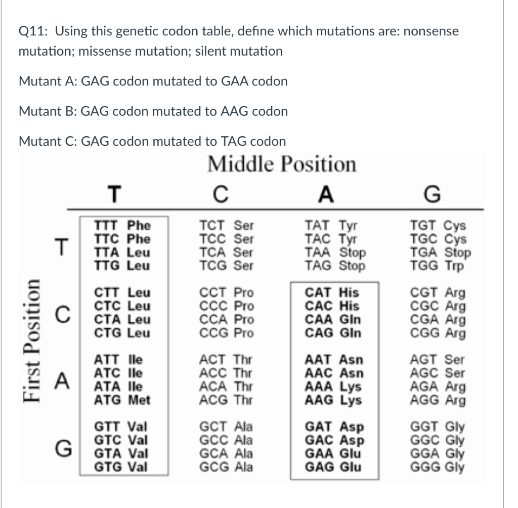 Solved MOLECULAR BIOLOGY 11 a) Which of these mutations are | Chegg.com