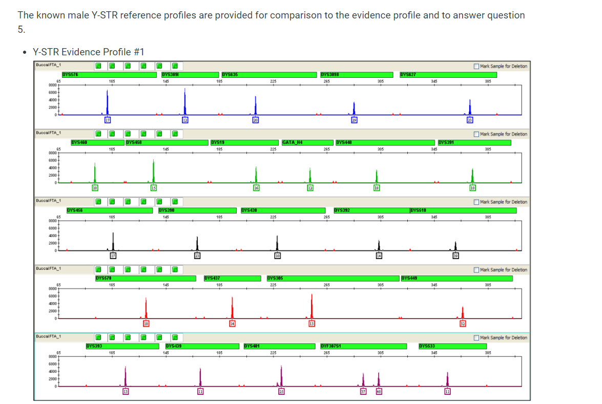 Solved The known male Y-STR reference profiles are provided | Chegg.com