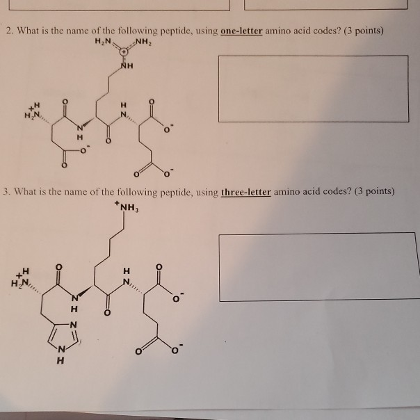 Solved 2. What is the name of the following peptide, using | Chegg.com