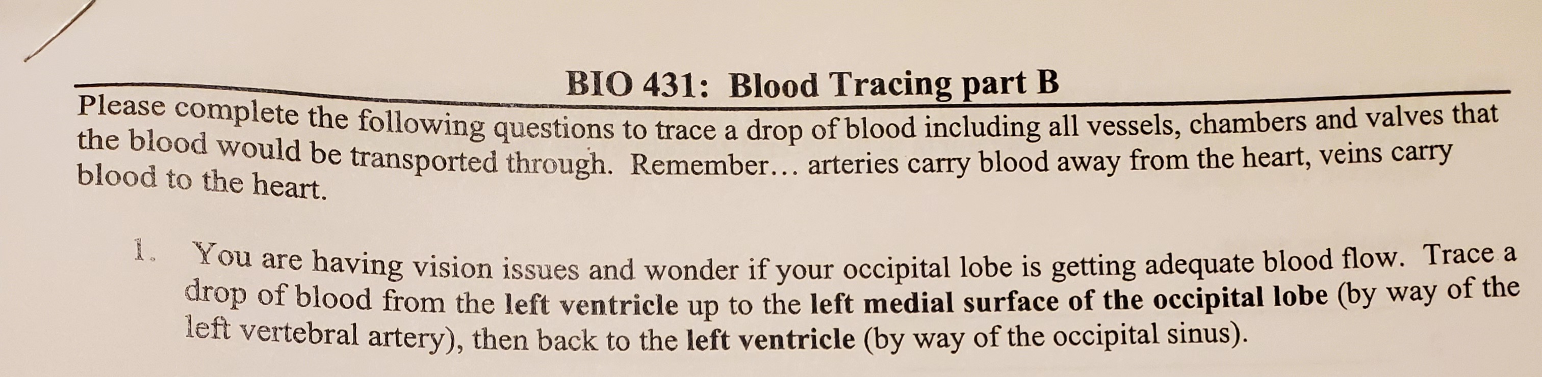 Solved Blood Tracing part BPlease complete the following | Chegg.com