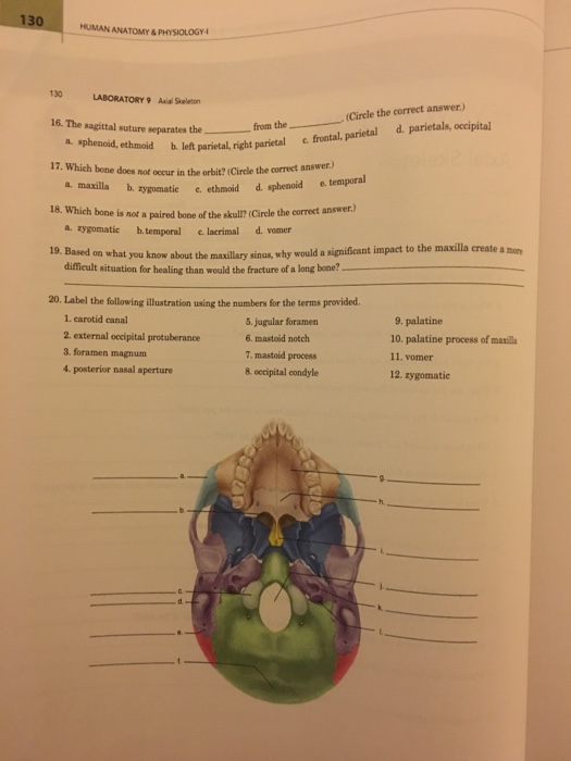 Biology 1 Laboratory Manual Answers