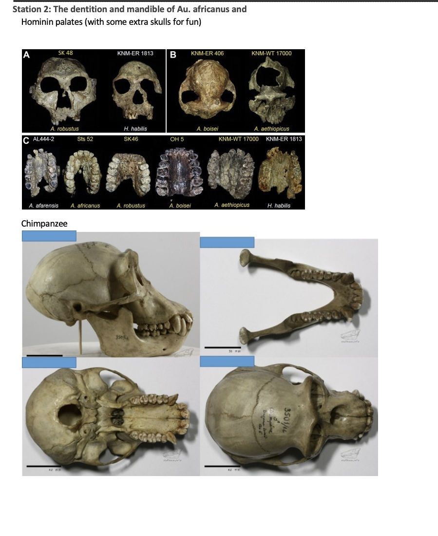 Solved 1. Compare and contrast the size of the | Chegg.com