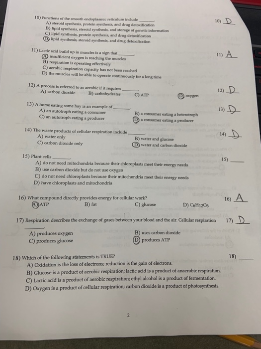 Solved 10) Functions of the smooth endoplasmic reticulum | Chegg.com