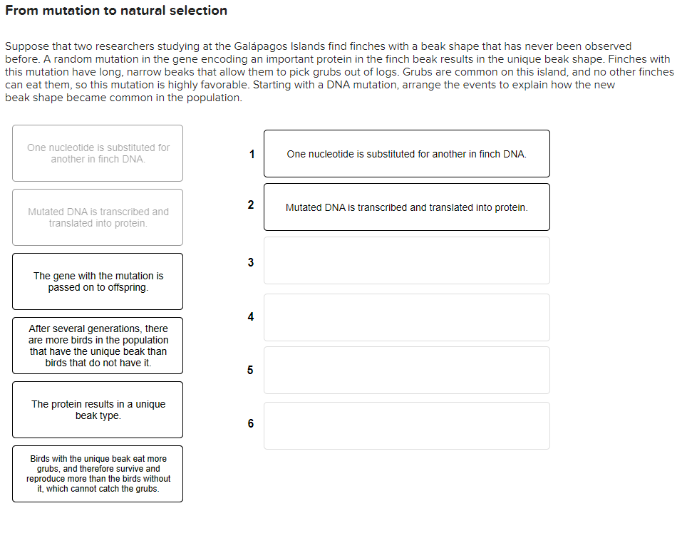 Solved Suppose that two researchers studying at the | Chegg.com