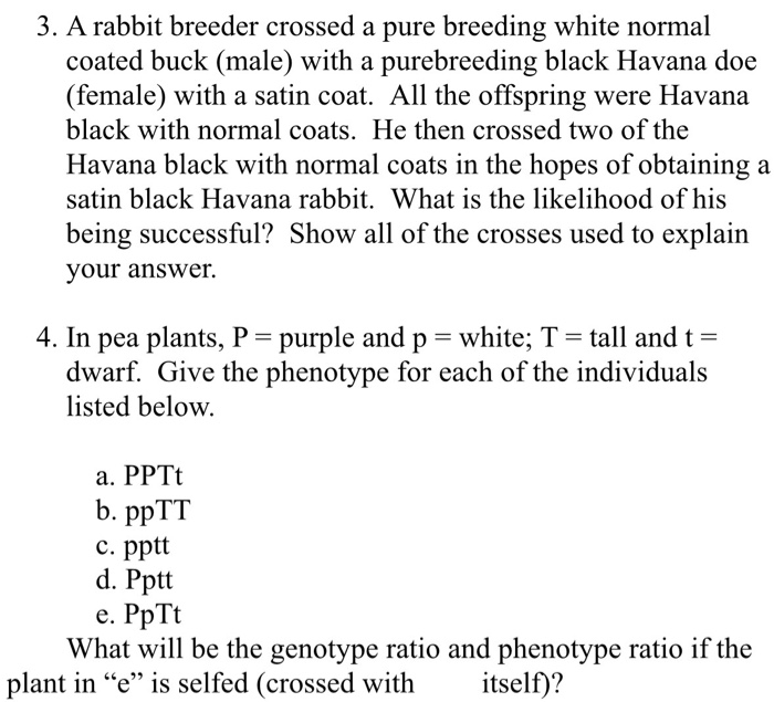 Solved 3. A rabbit breeder crossed a pure breeding white | Chegg.com