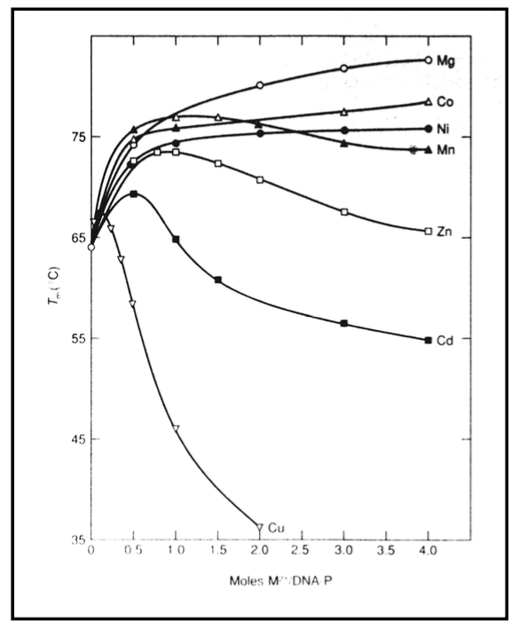 The melting temperature (Tm) of double-stranded DNA | Chegg.com