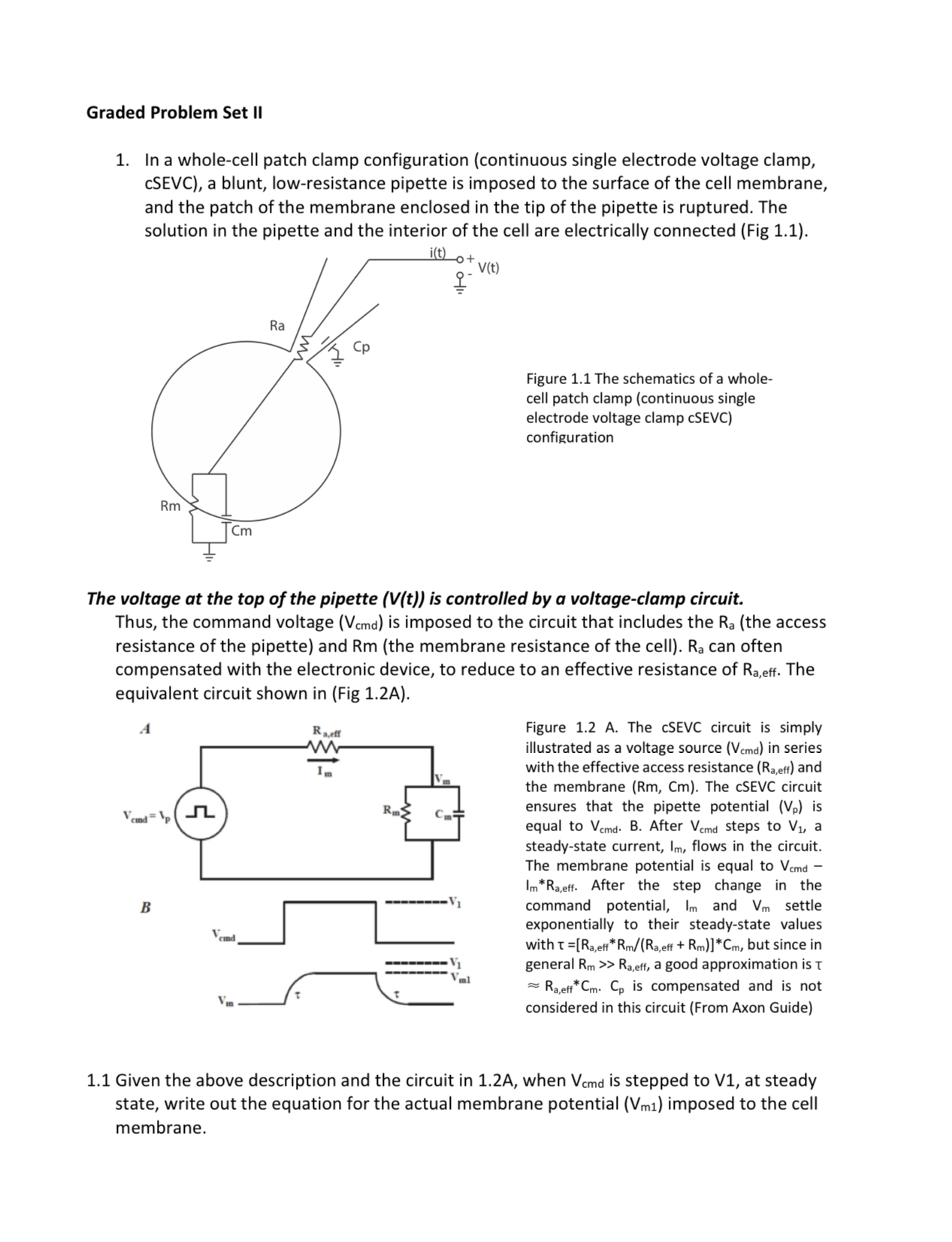 Solved In a whole-cell patch clamp configuration (continuous | Chegg.com