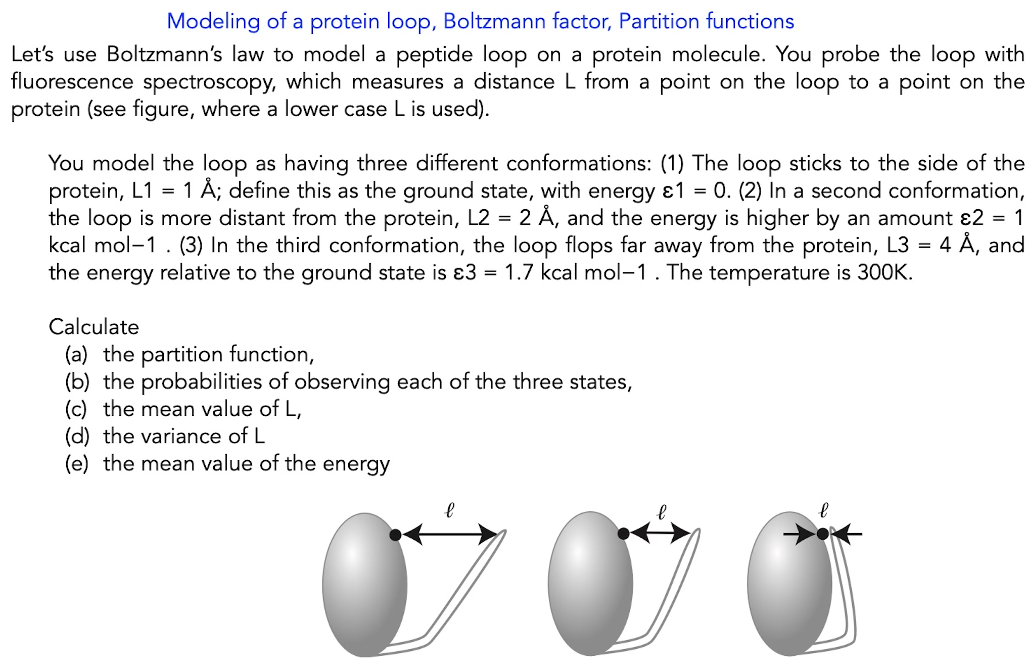 Solved Modeling of a protein loop, Boltzmann factor, | Chegg.com