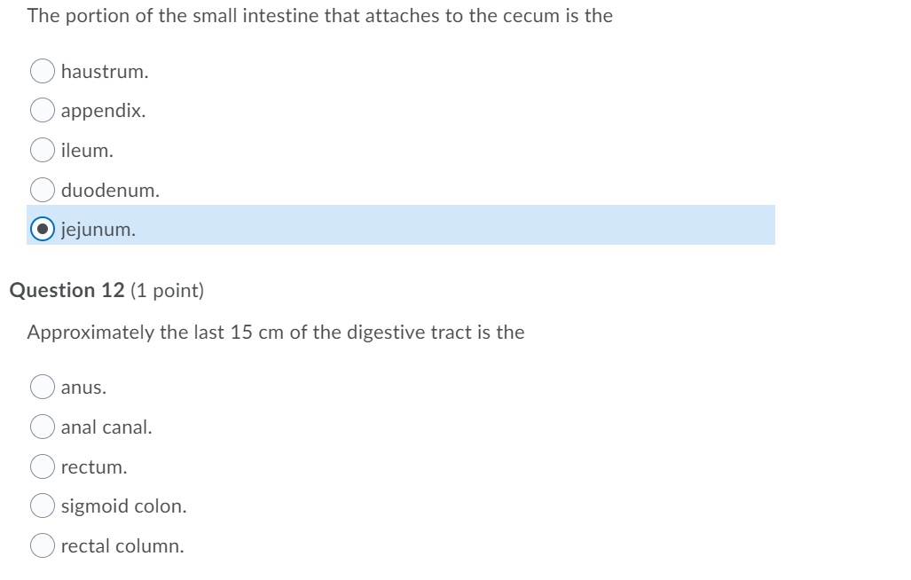 Solved The portion of the small intestine that attaches to | Chegg.com