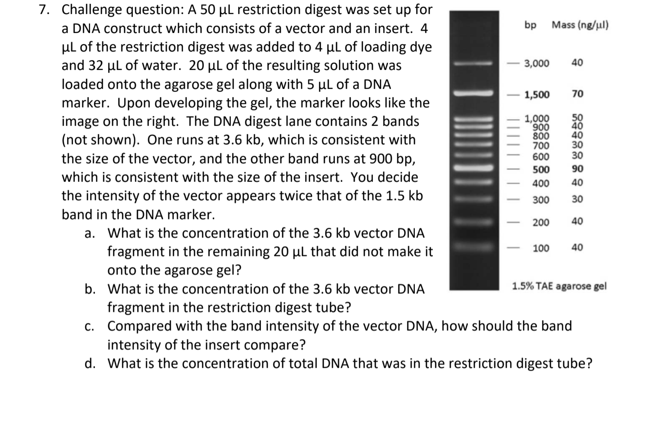 Solved 7. Challenge question: A 50 μL restriction digest was | Chegg.com