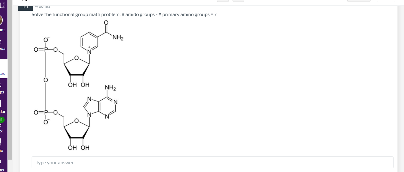 Amido Functional Group