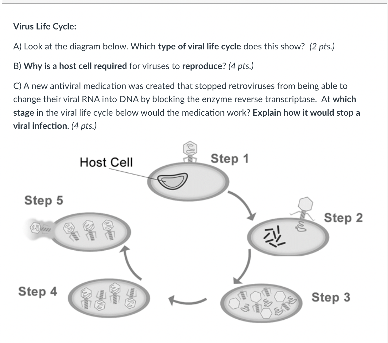 Virus Life Cycle:A) ﻿Look at the diagram below. Which | Chegg.com
