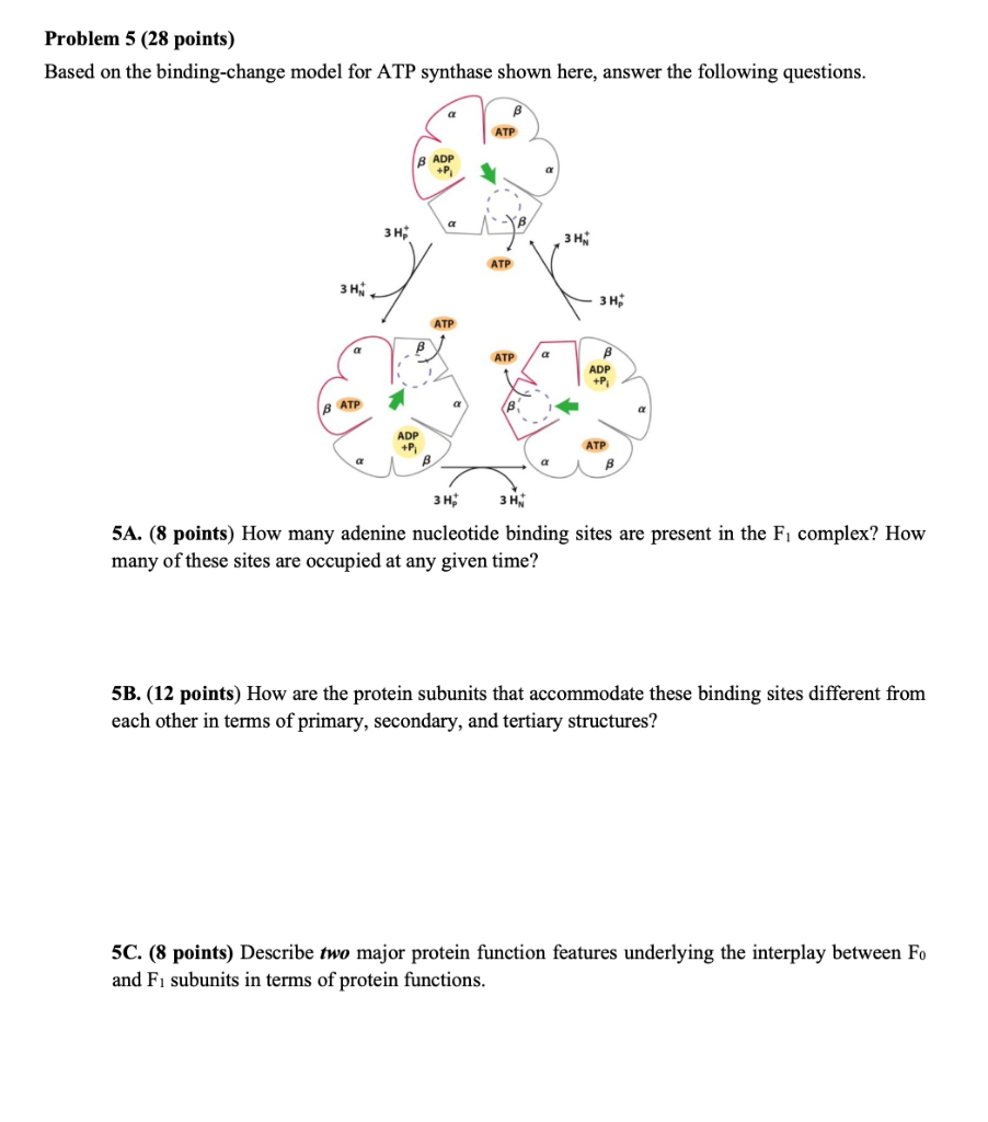 Solved Problem 5 (28 points) Based on the binding-change | Chegg.com