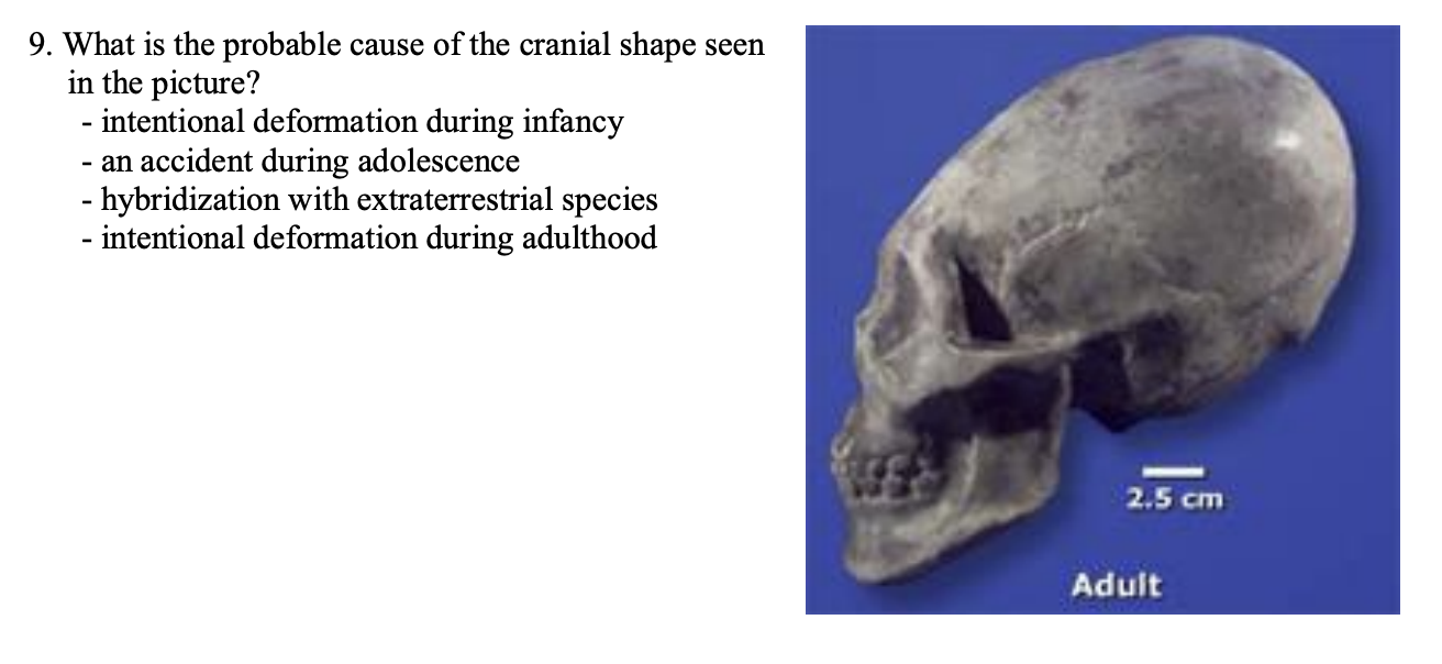 9. What is the probable cause of the cranial shape | Chegg.com